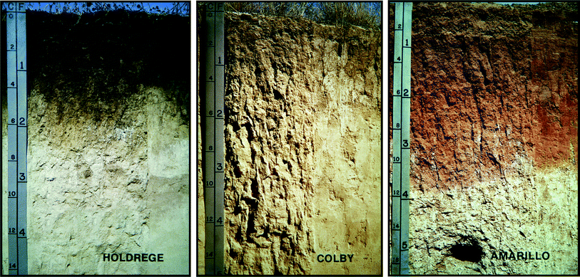 Soils of the Great Plains | SpringerLink