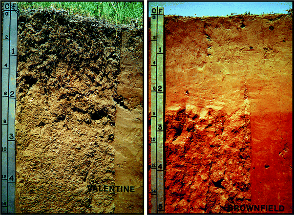 Soils of the Great Plains | SpringerLink