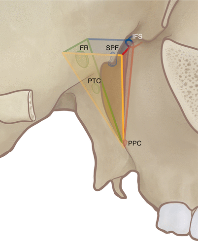 Pterygopalatine Fossa | SpringerLink