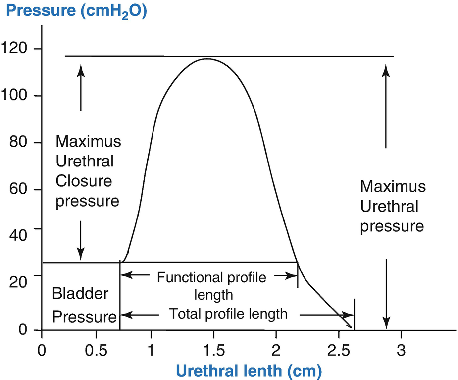 Cystometry, Pressure Flow Study and Urethral Pressure Measurement ...
