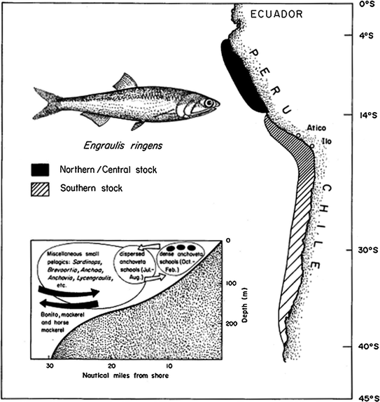 The Peruvian-Chilean Coastal Upwelling System | SpringerLink