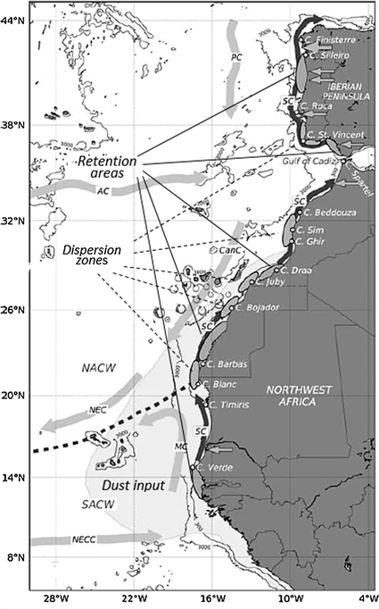 The Canary/Iberia Current Upwelling System | SpringerLink