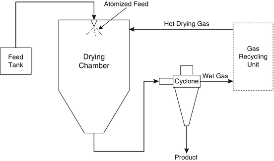 Spray-Drying Technology | SpringerLink