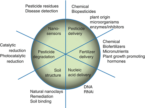 Nano-Biofungicides: Emerging Trend in Insect Pest Control | SpringerLink