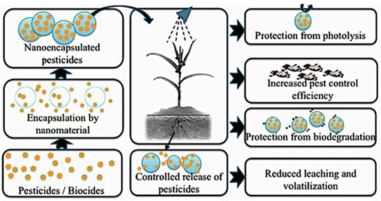 Nano-Biofungicides: Emerging Trend in Insect Pest Control | SpringerLink