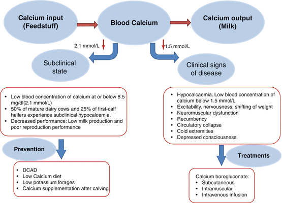 Milk Fever: Reductionist Versus Systems Veterinary Approach | SpringerLink