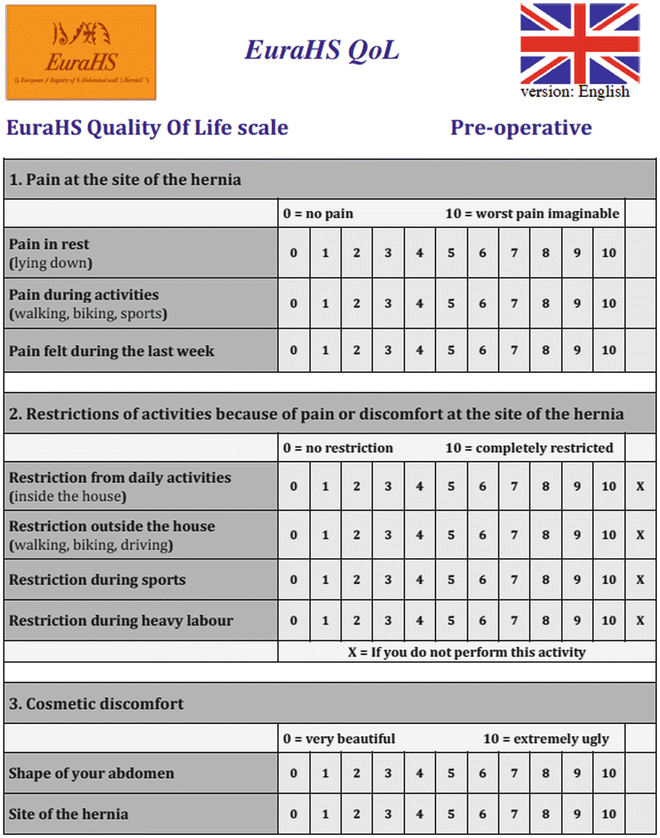 Evaluating Outcomes and Evidence in Hernia Repair | SpringerLink