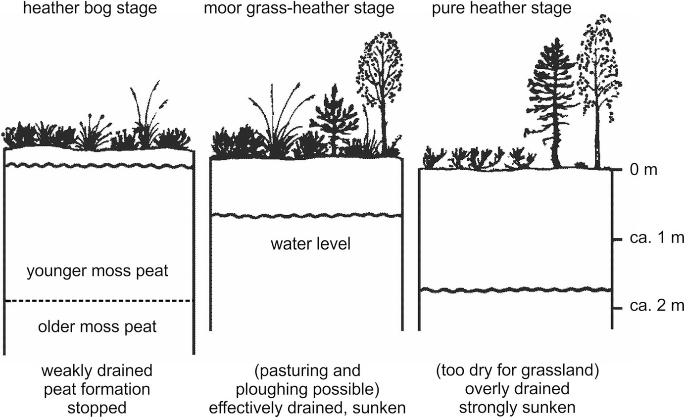 Mires | SpringerLink