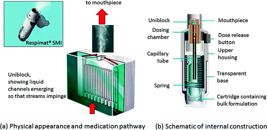 Inhalation and Nasal Formulations | SpringerLink