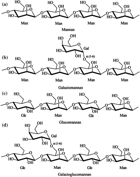 Mannanase | SpringerLink