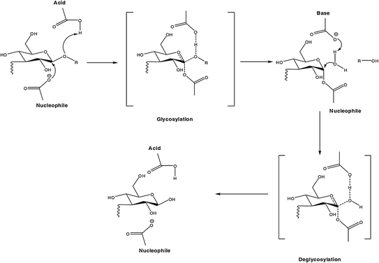 Mannanase | SpringerLink