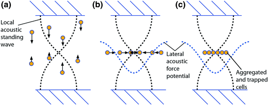 Acoustic Cell Manipulation | SpringerLink