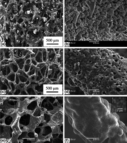 45S5 Bioglass Based Scaffolds for Skeletal Repair | SpringerLink