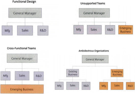 Strategies for Innovative Organization Structure: Innovative Culture ...