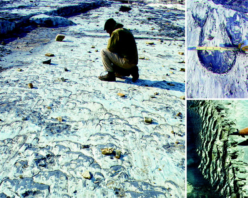Castleguard Cave and Karst, Columbia Icefield, Alberta and British ...