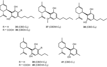Phytochemistry of Cannabis sativa L. | SpringerLink