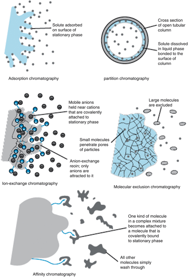 Basic Principles of Chromatography | SpringerLink