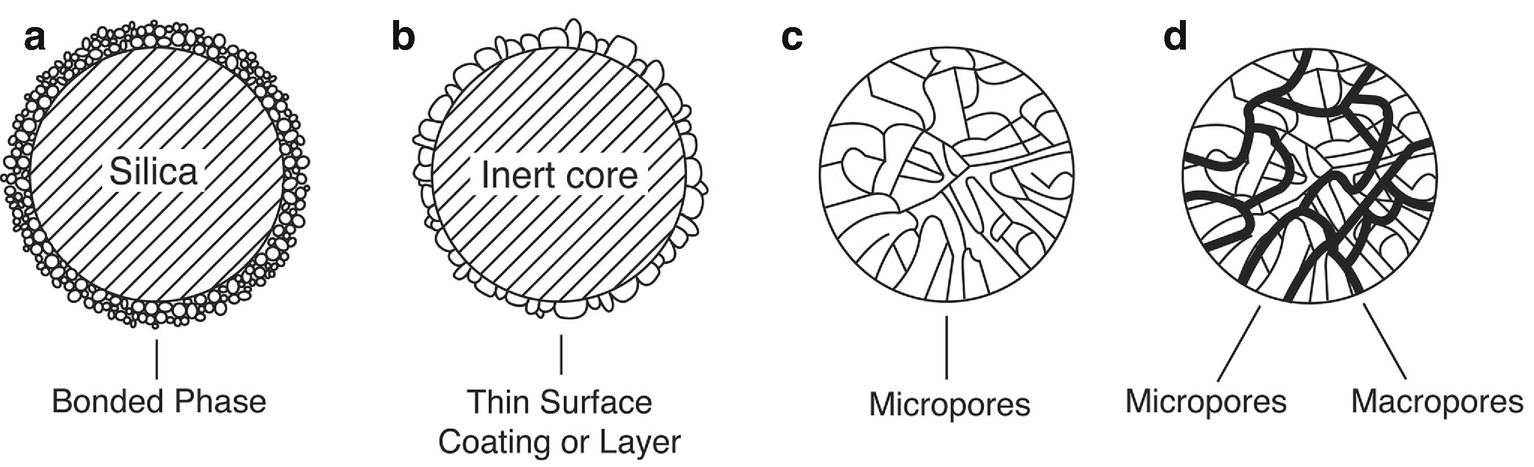 High-Performance Liquid Chromatography | SpringerLink