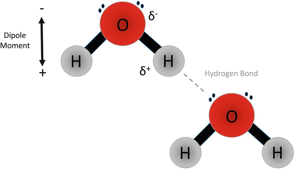 Moisture and Total Solids Analysis | SpringerLink