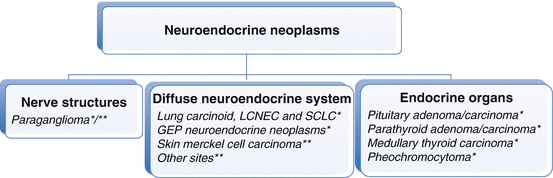 Classification of Neuroendocrine Neoplasms | SpringerLink