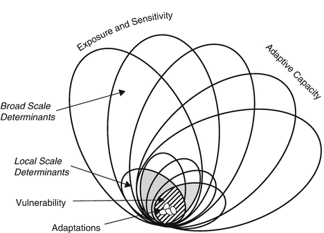 Measuring Community Adaptive and Transformative Capacity in the Arctic ...