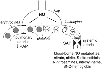 Inhaled Nitric Oxide | SpringerLink