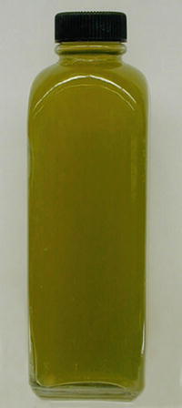 The Chlorobiaceae, Chloroflexaceae, and Heliobacteriaceae | SpringerLink