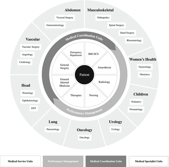 The Integrated-Physician-Model: Business Model Innovation in Hospital ...