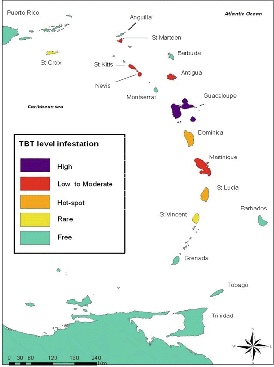 Ehrlichia ruminantium: The Causal Agent of Heartwater | SpringerLink