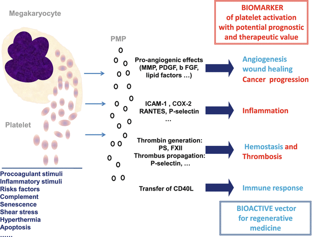 Platelet-Derived Microparticles | SpringerLink
