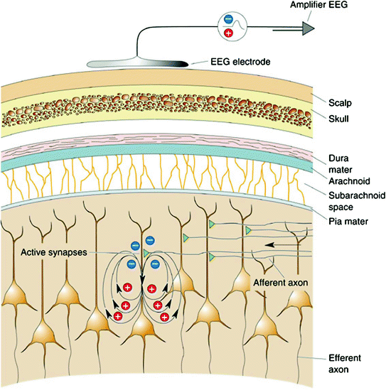 Electroencephalogram (EEG) and Its Background | SpringerLink