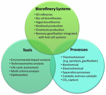 Biorefinery Concept | SpringerLink