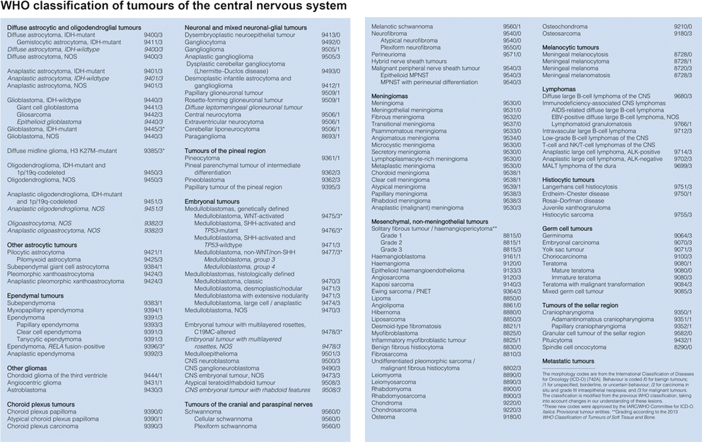 Tumors of the Central Nervous System | SpringerLink