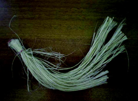 Okra Fibers: Potential Material for Green Biocomposites | SpringerLink