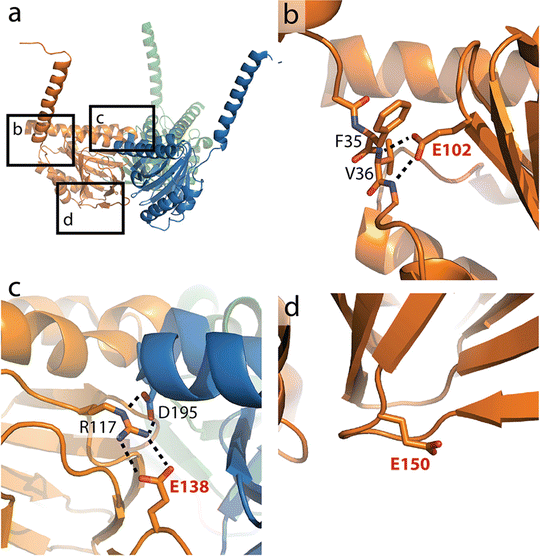 Structural Perspectives on Sigma-1 Receptor Function | SpringerLink