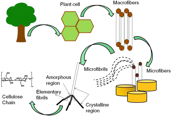 Recent Advances in Green Sustainable Nanocellulosic Fiber: An Overview ...