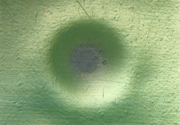 Craters and Other Coatings Defects: Mechanisms and Analysis | SpringerLink