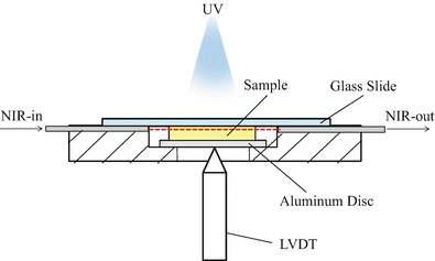 Shrinkage in UV-Curable Coatings | SpringerLink