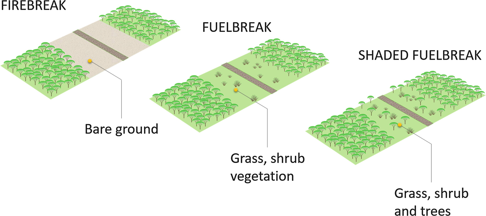 Firebreak and Fuelbreak | SpringerLink