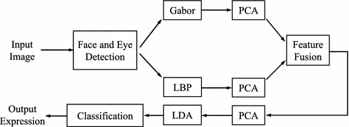 Facial Expression Recognition by Fusing Gabor and Local Binary Pattern Features | SpringerLink