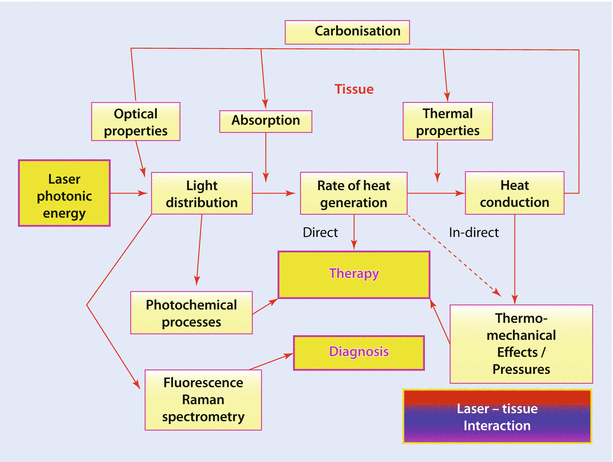 Laser–Tissue Interaction | SpringerLink