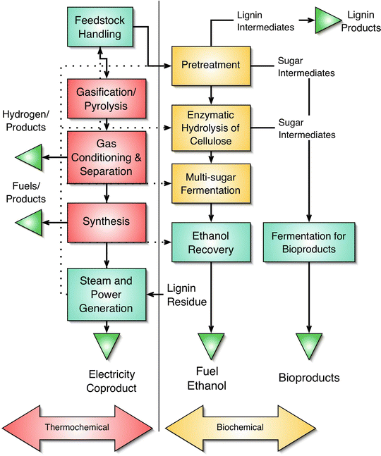 Biomass Conversion | SpringerLink