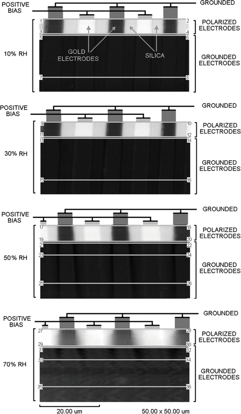 Hygroelectricity: The Atmosphere as a Charge Reservoir | SpringerLink