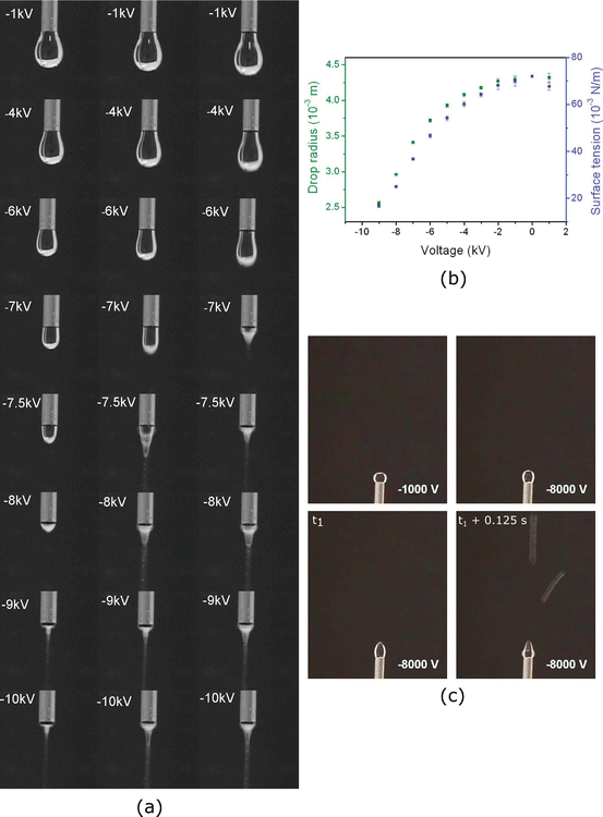 Hygroelectricity: The Atmosphere as a Charge Reservoir | SpringerLink