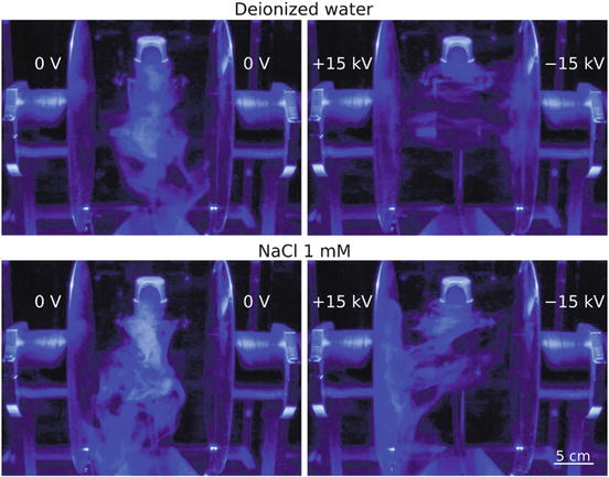Hygroelectricity: The Atmosphere as a Charge Reservoir | SpringerLink