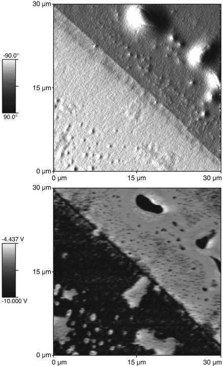 Electrostatic Adhesion | SpringerLink
