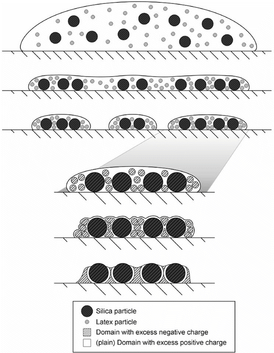 Electrostatic Adhesion | SpringerLink