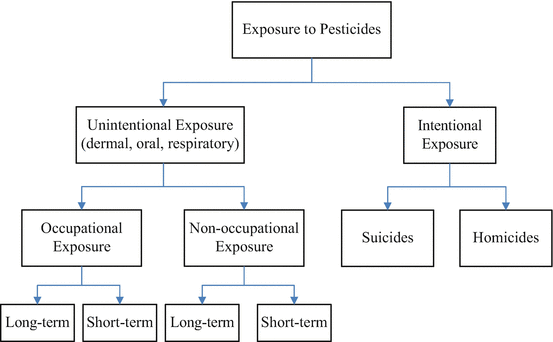 Health Concerns of Pesticides | SpringerLink
