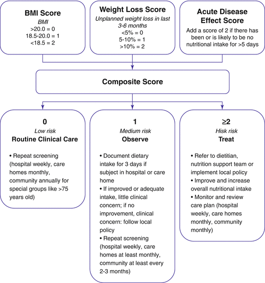 Screening and Assessment of Malnutrition | SpringerLink
