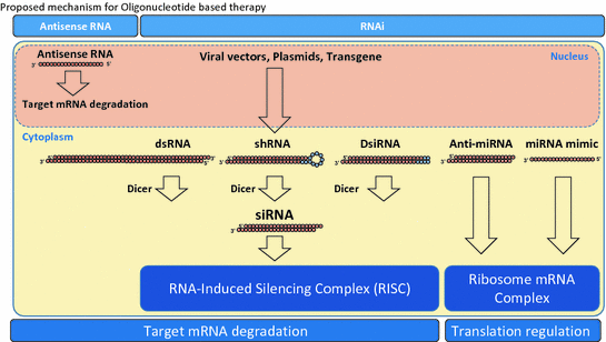 siRNA Therapeutics to Treat Liver Disorders | SpringerLink